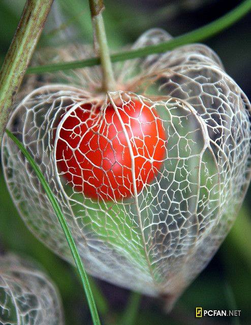 Boslaal – meditácie a pathworking pre osobný rast